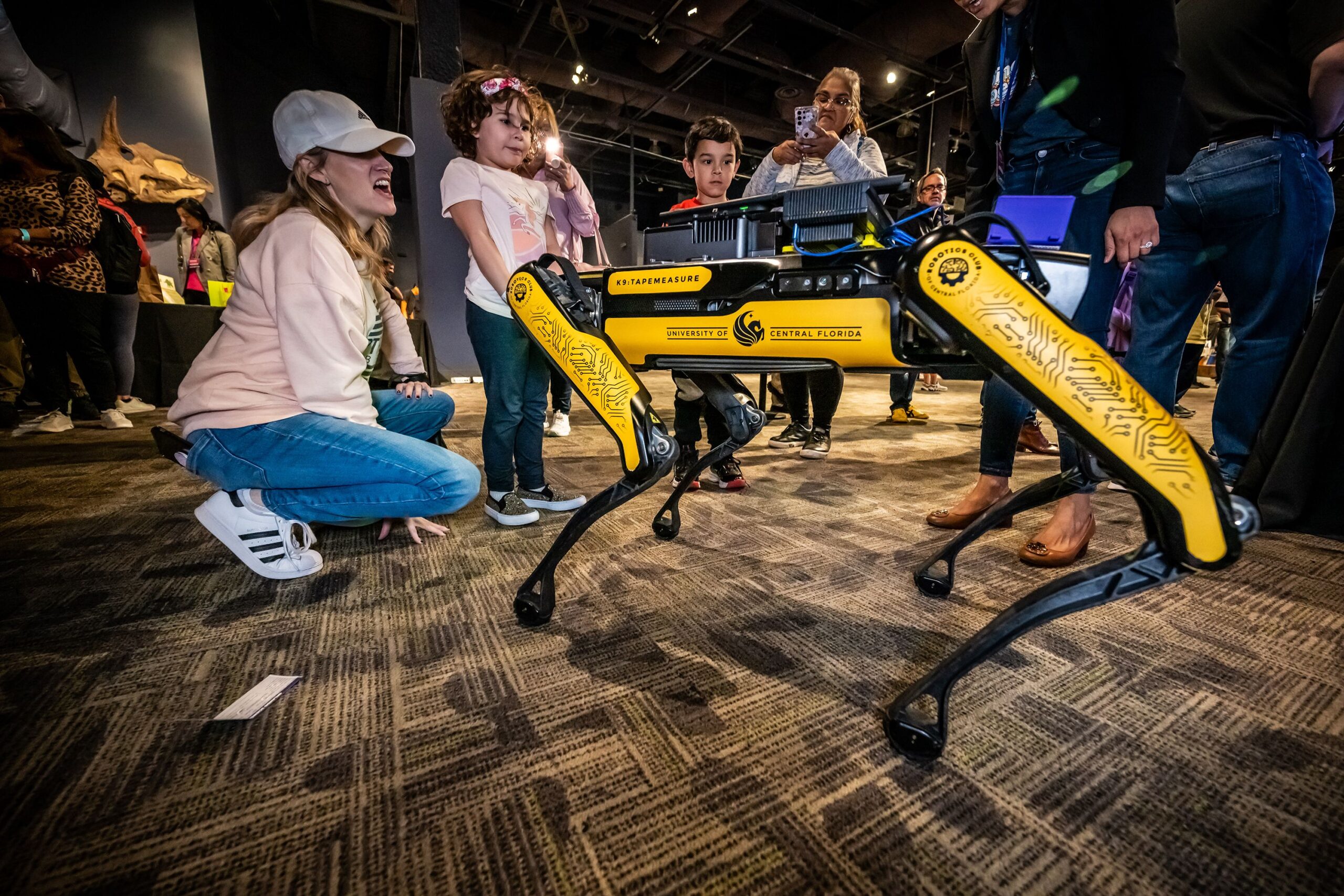 Spark Stem Fest